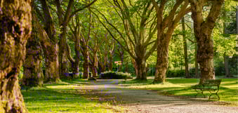 Inverness Home Remodeling Contractors & Custom Home Builders